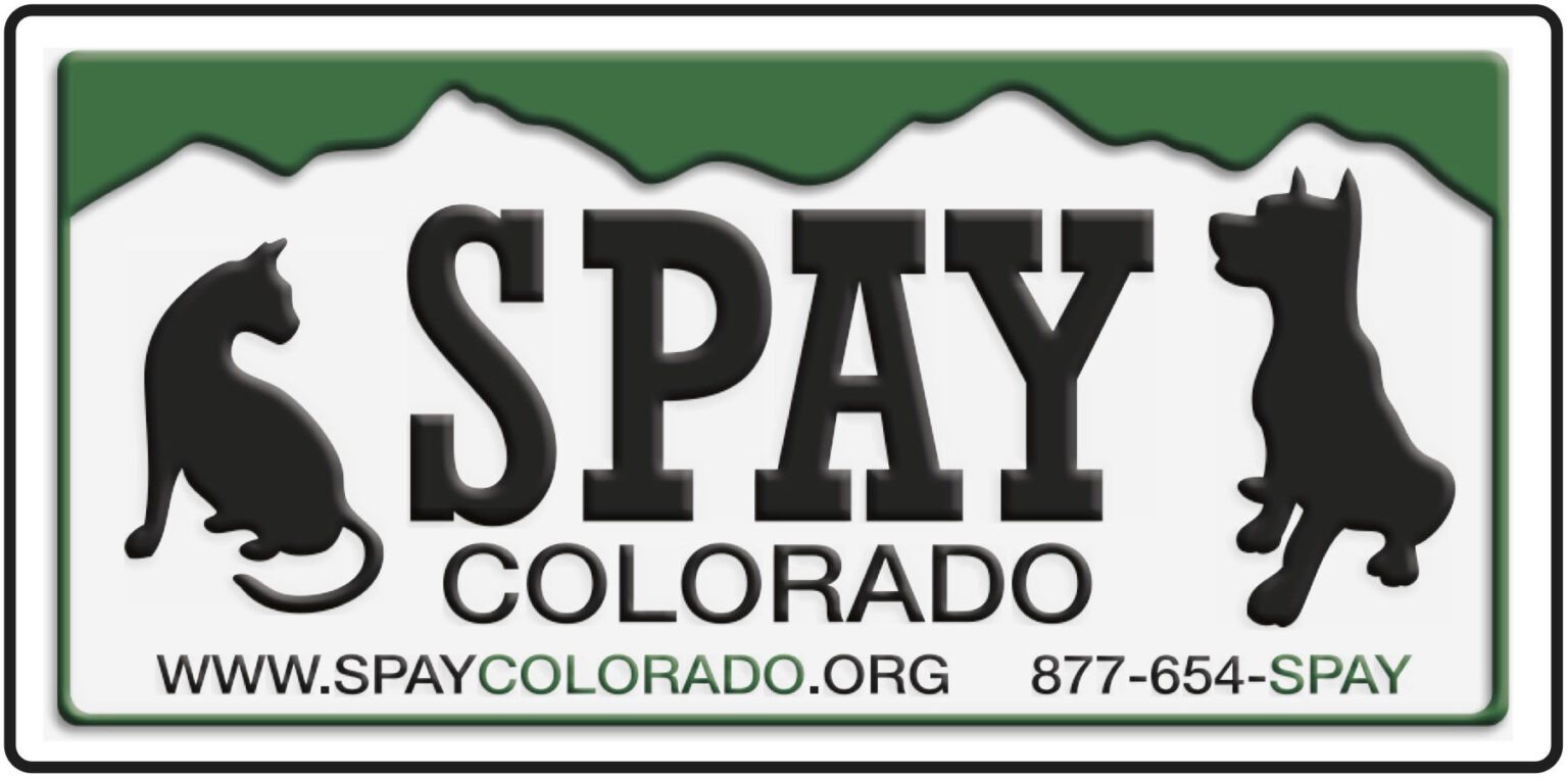 Spay Today – Spay Colorado